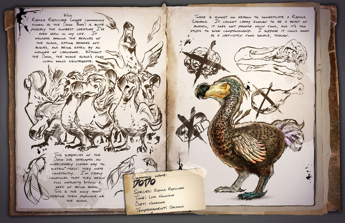 Category:Birds | ARK: Survival Evolved Wiki | Fandom