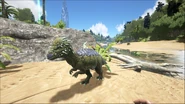 Pachycephalosaurus | ARK: Survival Evolved Wiki | Fandom