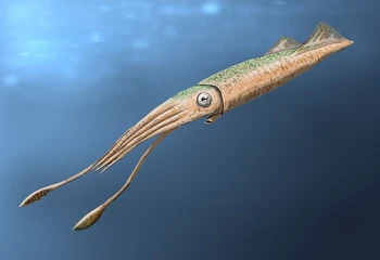 Tusoteuthis | ARK: Survival Evolved Wiki | Fandom