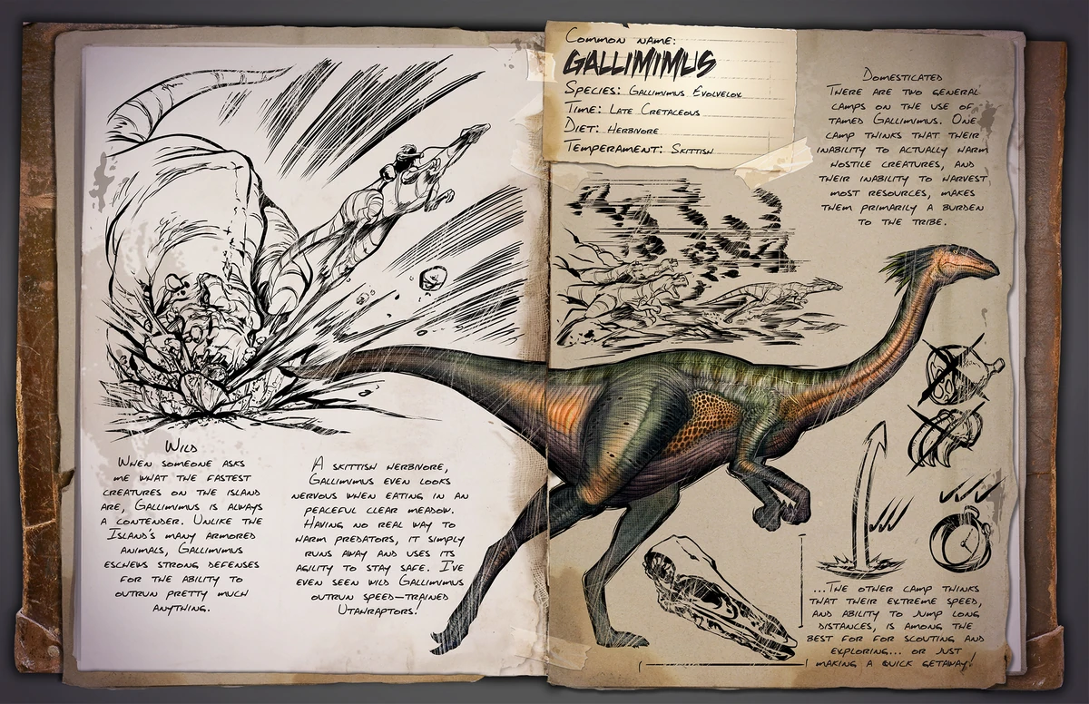 Gallimimus | ARK: Survival Evolved Wiki | Fandom
