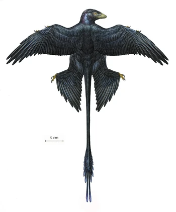 Microraptor | ARK: Survival Evolved Wiki | Fandom
