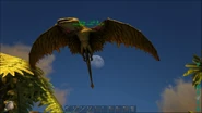 Dimorphodon | ARK: Survival Evolved Wiki | Fandom