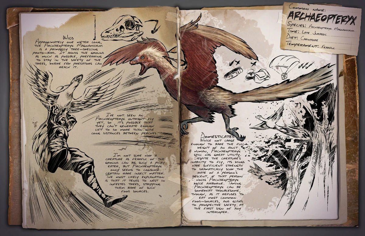 Archaeopteryx | ARK: Survival Evolved Wiki | Fandom