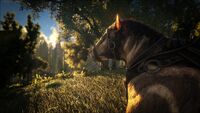 Халикотерий | ARK: Survival Evolved вики | Fandom
