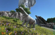 Paraceratherium | ARK: Survival Evolved Wiki | Fandom