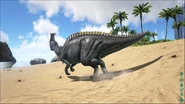 Parasaurolophus | ARK: Survival Evolved Wiki | Fandom