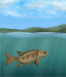 Semionotus | ARK: Survival Evolved Wiki | Fandom