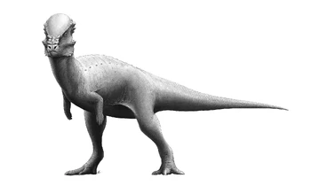 Pachycephalosaurus | ARK: Survival Evolved Wiki | Fandom