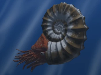 Ammonite | ARK: Survival Evolved Wiki | Fandom