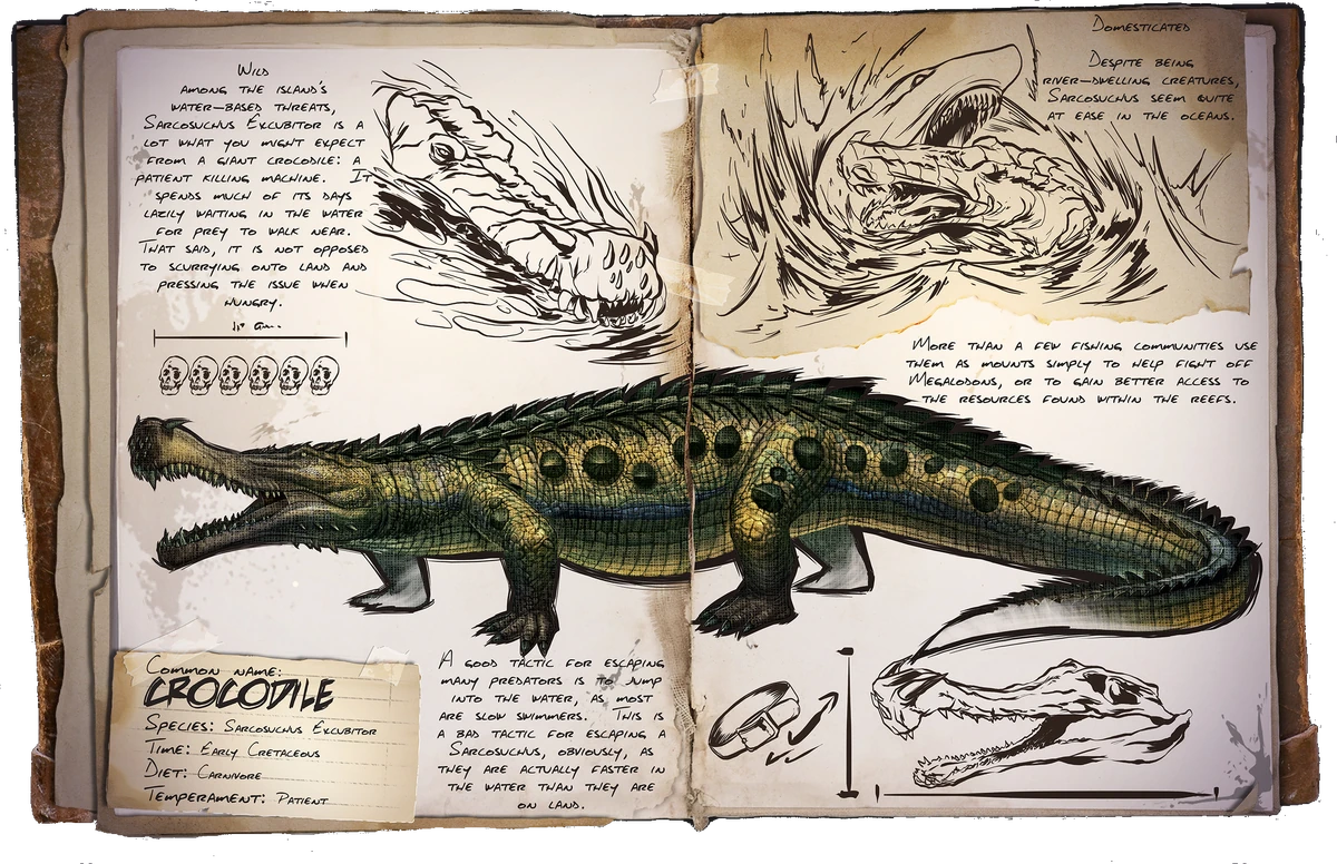 Crocodile | Wikia Ark Survival Evolved | Fandom