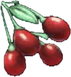 Tintoberry | ARK: Survival Evolved Wiki | Fandom