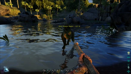 Raptor | ARK: Survival Evolved Wiki | Fandom