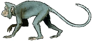 Mesopithecus | ARK: Survival Evolved Wiki | Fandom