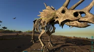 Triceratops | ARK: Survival Evolved Wiki | Fandom