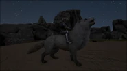 Direwolf | ARK: Survival Evolved Wiki | Fandom