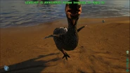 Dodo | ARK: Survival Evolved Wiki | Fandom