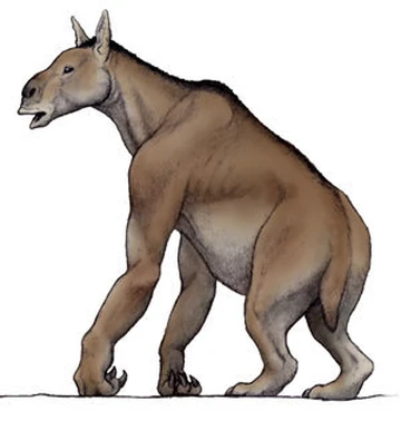 Chalicotherium