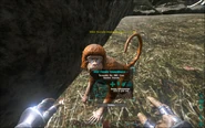 Mesopithecus | ARK: Survival Evolved Wiki | Fandom