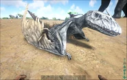 Dimorphodon | ARK: Survival Evolved Wiki | Fandom