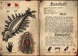 dossie globo news coloring pages