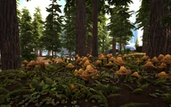 Mod:Ebenus Astrum/RedWood - ARK: Survival Evolved Wiki