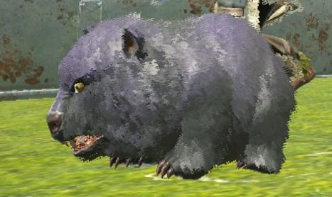 Chibi-Direbear - ARK: Survival Evolved Wiki