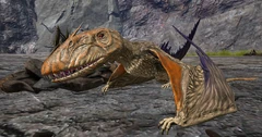 Dimorphodon - Official ARK: Survival Evolved Wiki