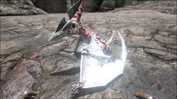 Pteranodon - ARK: Survival Evolved Wiki