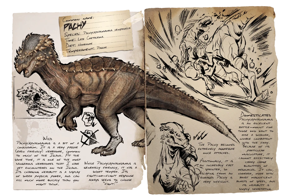 Pachy - ARK: Survival Evolved Wiki