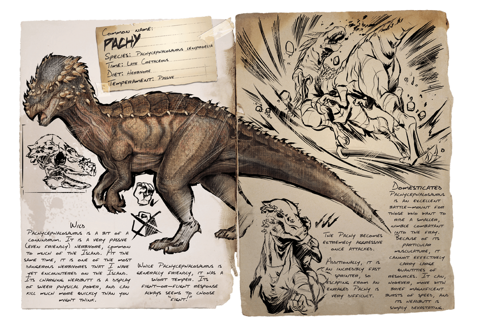 Pachy - Official ARK: Survival Evolved Wiki