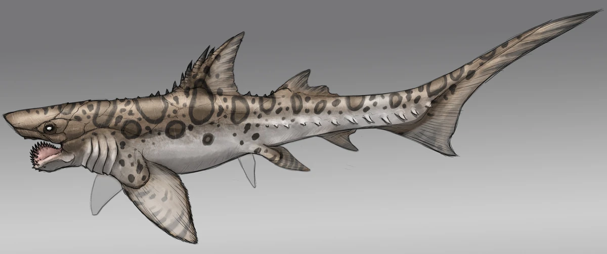 Mod:ARK Additions/Helicoprion - ARK: Survival Evolved Wiki