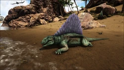 dimetrodon ark