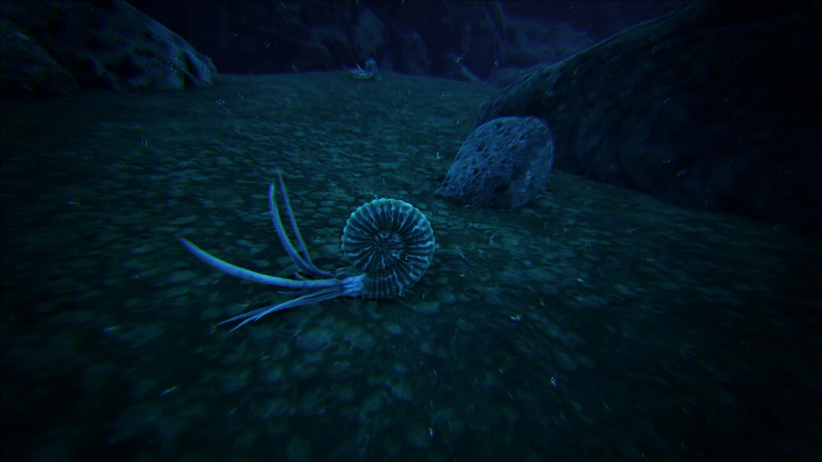 Ammonite – ARK: Survival Evolved Wiki