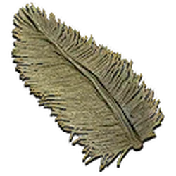 real dodo feather