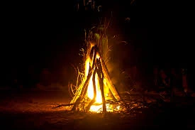 Tribe:The Hobo-Brigade - ARK: Survival Evolved Wiki