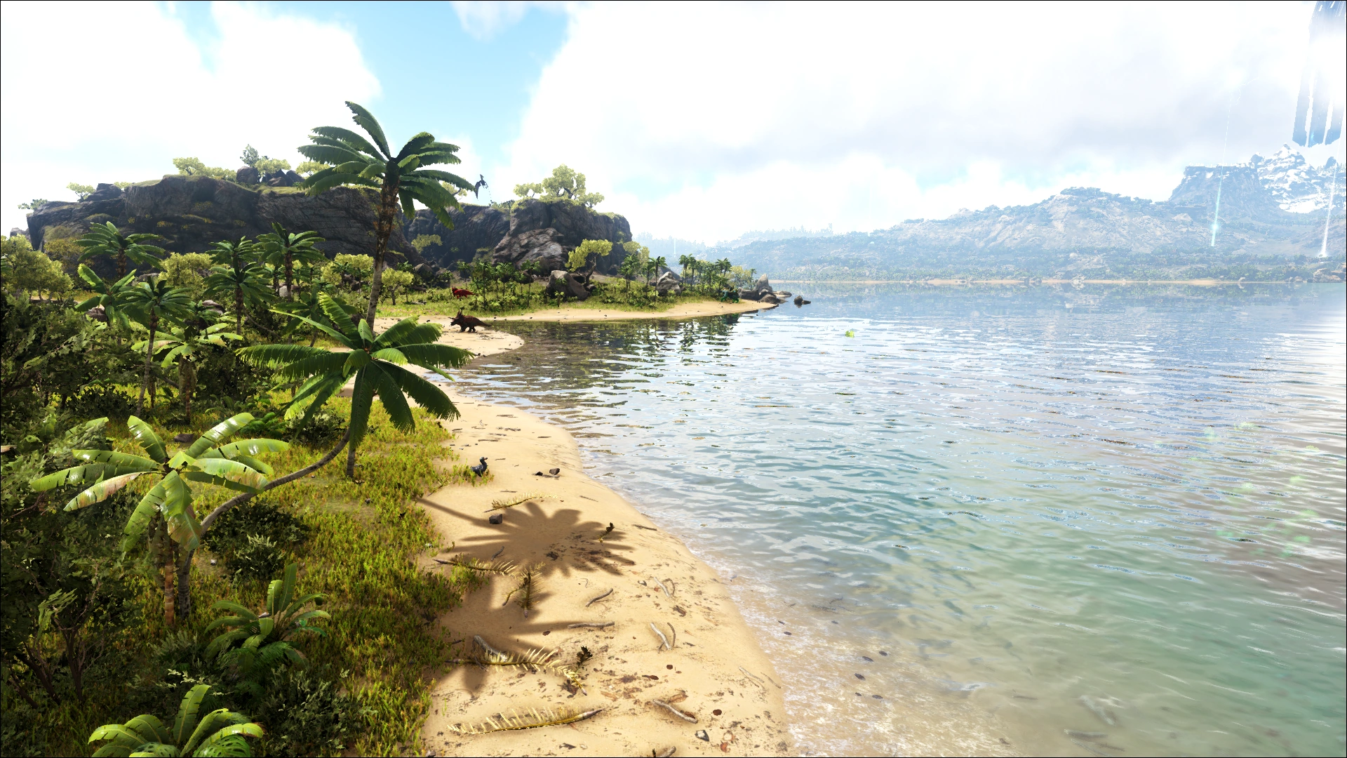 Lost Island Beach