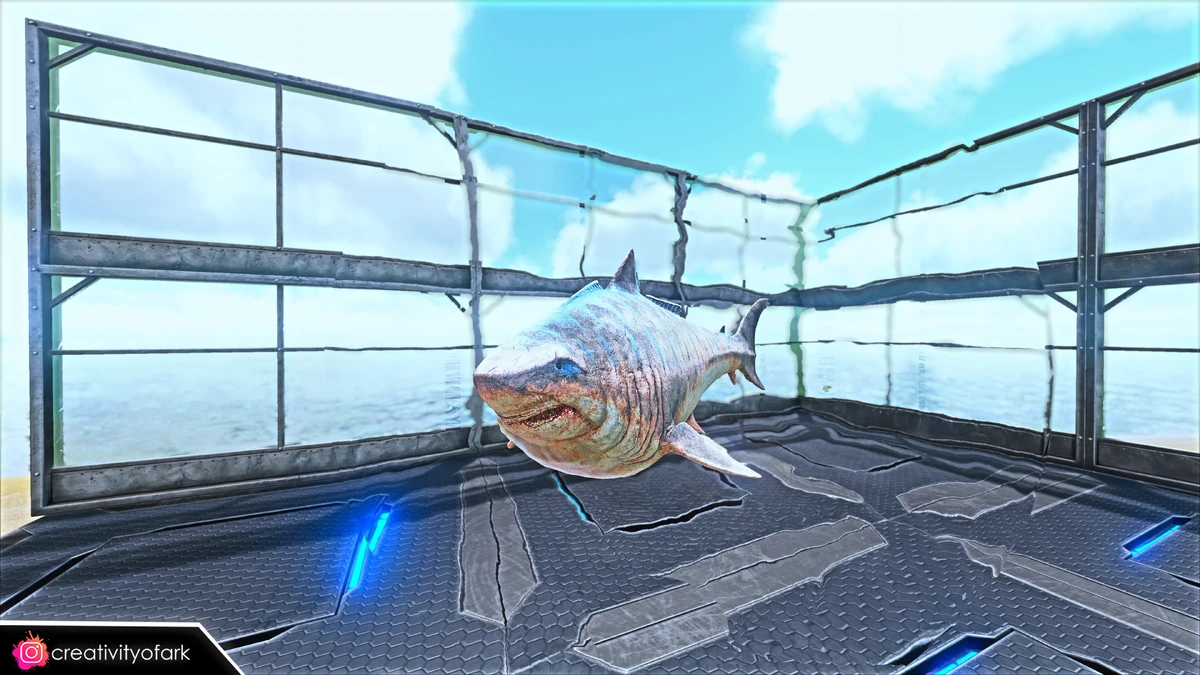 Chibi-Megalodon - ARK: Survival Evolved Wiki