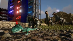 Chibi-T-Rex fêtard - Wiki de ARK: Survival Evolved