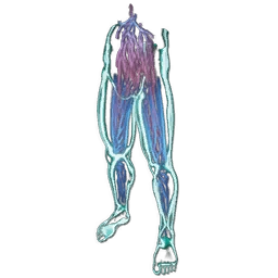HomoDeus Pants Skin (Extinction) - ARK: Survival Evolved Wiki
