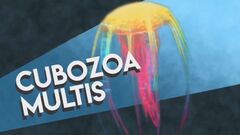 Cubozoa Multis - ARK: Survival Evolved Wiki