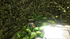 Southern Jungle - ARK: Survival Evolved Wiki