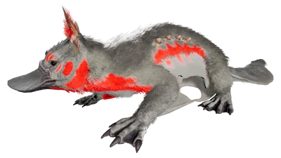 Maewing - Wiki ARK: Survival Evolved