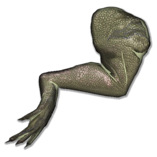 Frog Legs (Mobile) - ARK: Survival Evolved Wiki