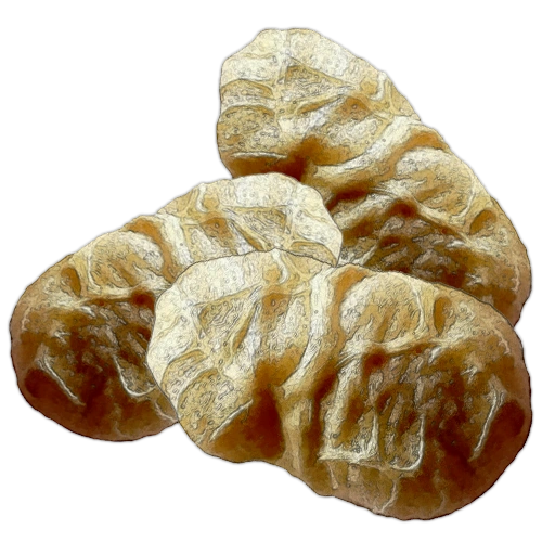 Snake Plant Seeds (Mobile) - ARK: Survival Evolved Wiki