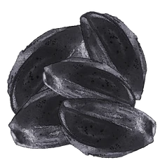 Aconitum Seeds (Mobile) - ARK: Survival Evolved Wiki