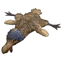Dodo Rug (Mobile) - ARK: Survival Evolved Wiki