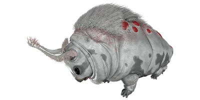 Gasbags - Official ARK: Survival Evolved Wiki