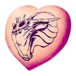 Category:Chibi-pets - Official ARK: Survival Evolved Wiki