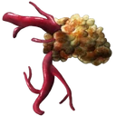 Acro Adrenal Gland - Wiki de ARK: Survival Evolved