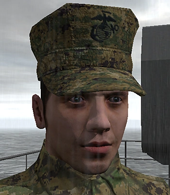 David Armstrong | Armed Assault Wiki | Fandom